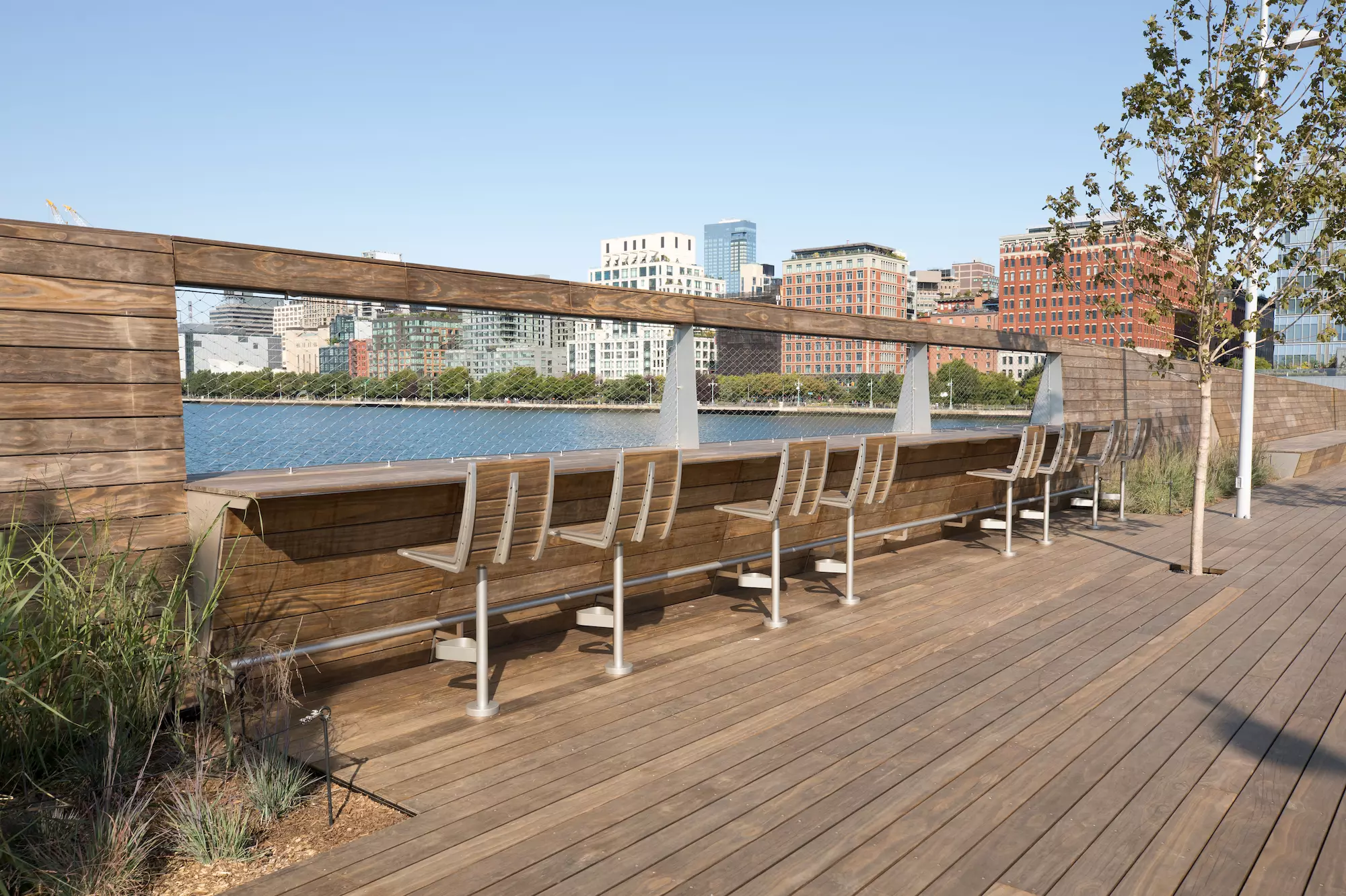 Le quai 26 respectueux de l'environnement de Tribeca s'ouvre avec un marais marécageux artificiel innovant 4510_5
