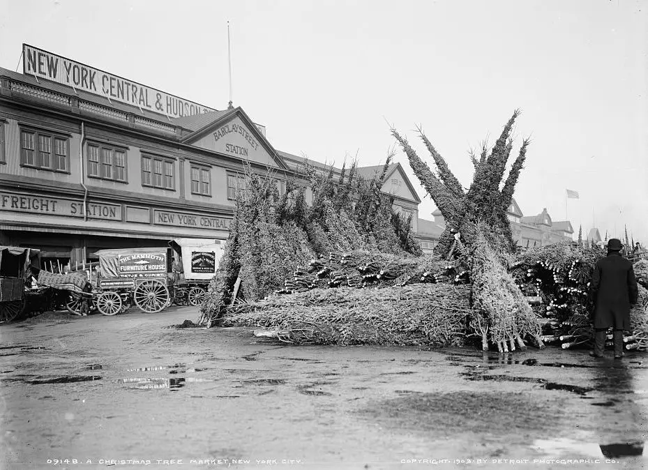 Πώς η Νέα Υόρκη έφερε τις αγορές χριστουγεννιάτικων δέντρων στις Η.Π.Α. 4689_1