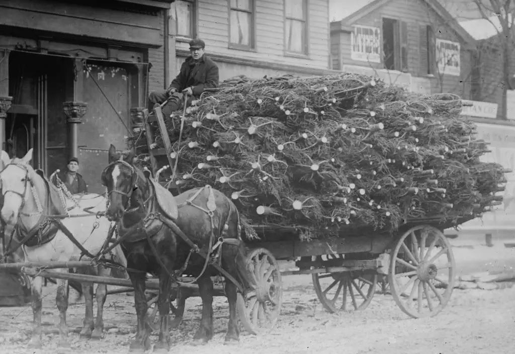Πώς η Νέα Υόρκη έφερε τις αγορές χριστουγεννιάτικων δέντρων στις Η.Π.Α. 4689_3