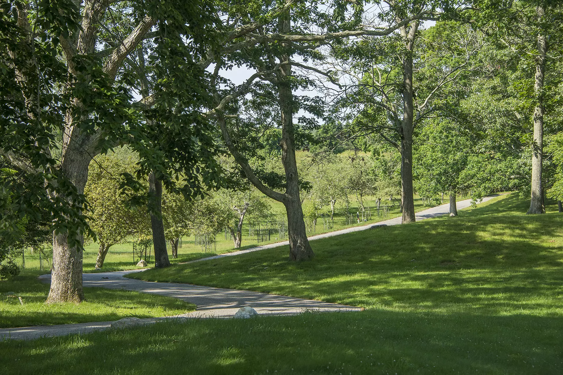 Dengan $11,5 juta, miliki rumah Windmill legendaris Amagansett yang pernah disewa Marilyn Monroe 4786_10