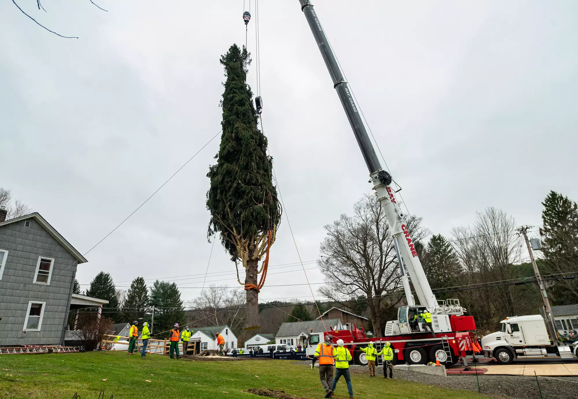 2020年洛克菲勒中心聖誕樹正式抵達紐約 4803_2