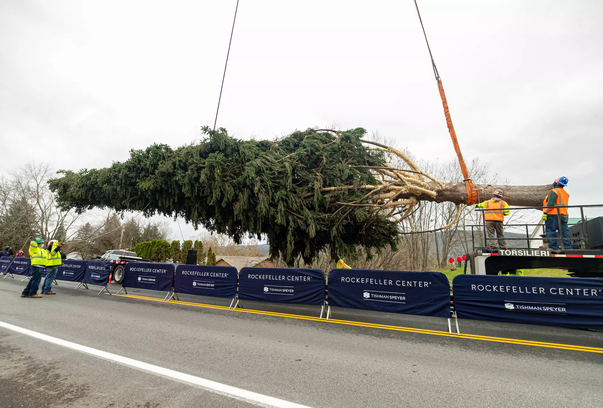 2020年洛克菲勒中心聖誕樹正式抵達紐約 4803_3