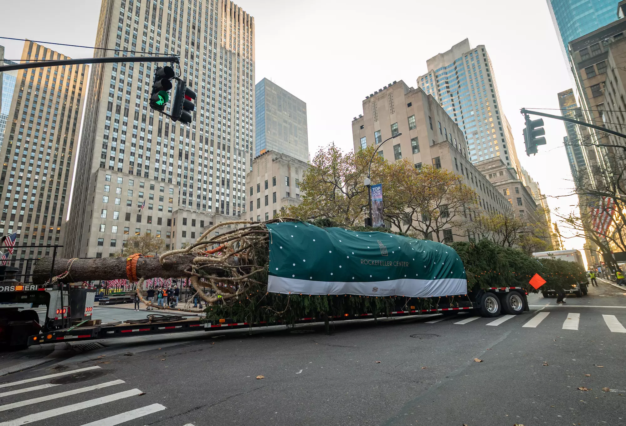 درخت کریسمس مرکز راکفلر 2020 رسما وارد نیویورک شد 4803_4