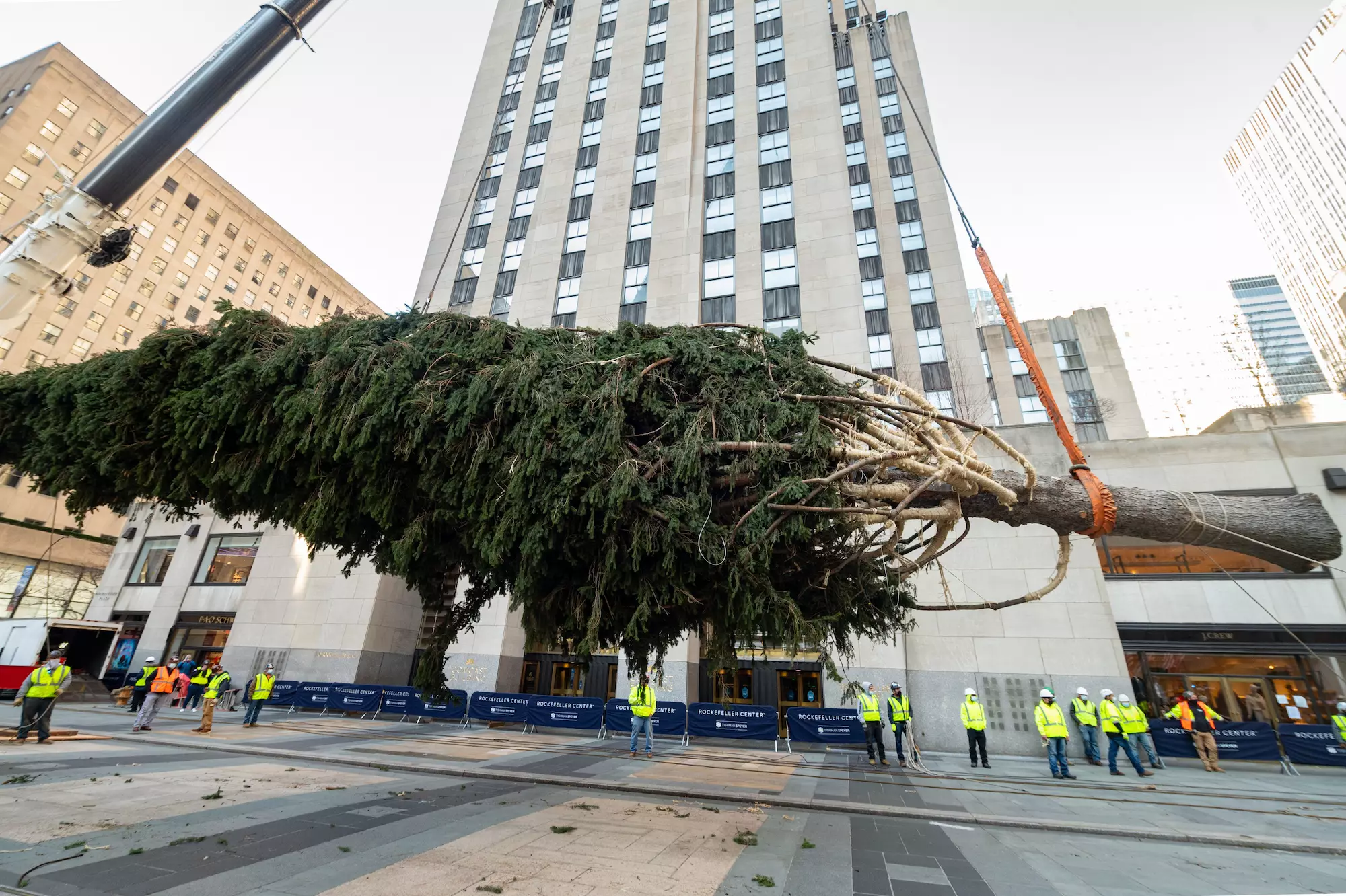 2020年洛克菲勒中心圣诞树正式抵达纽约 4803_5