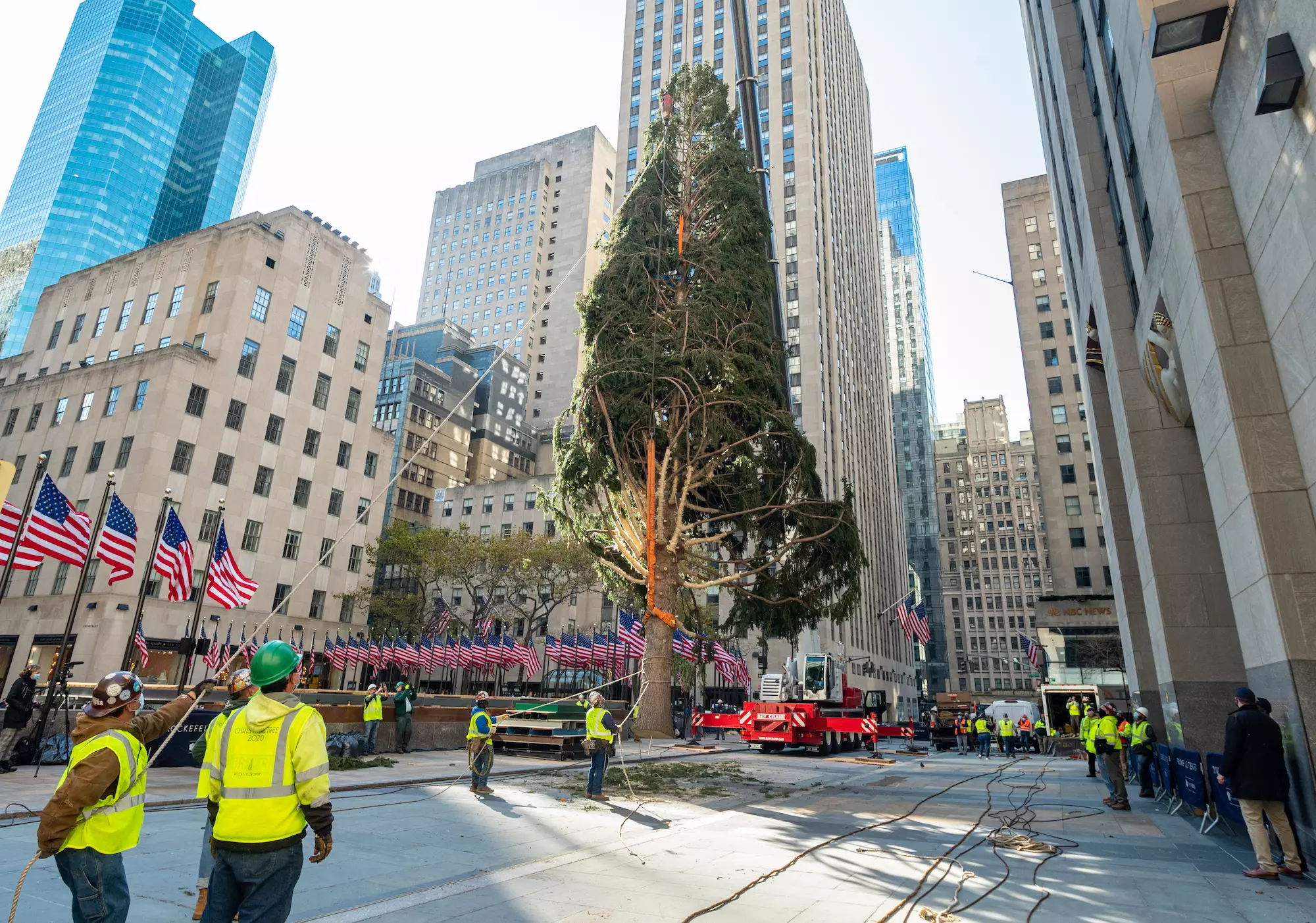 2020年洛克菲勒中心聖誕樹正式抵達紐約 4803_6