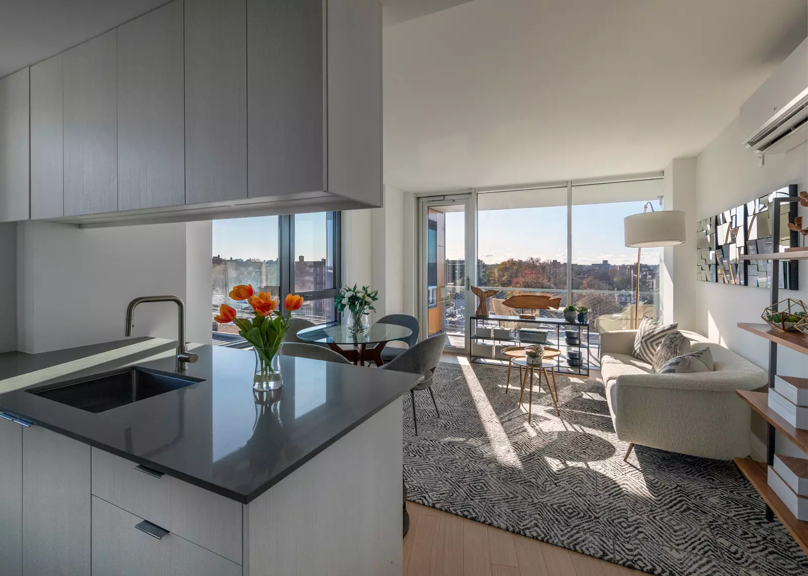 Middelinkomste-behuisingslotery word vir 47 eenhede bekendgestel by nuwe geriewe-gevulde huur in Jackson Heights 4827_8