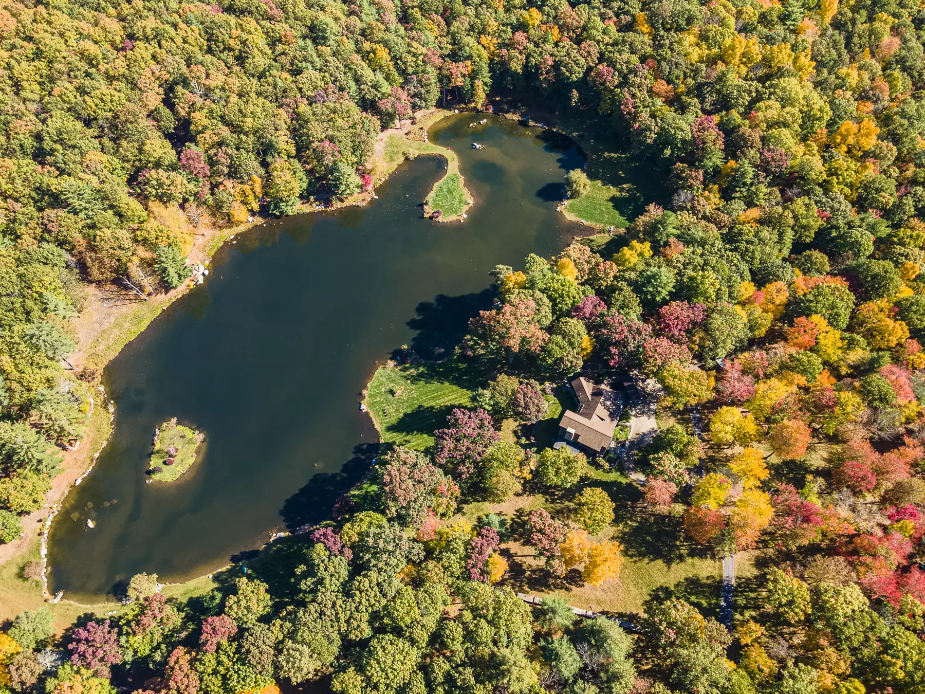 Por US $ 4,7 milhões, viva neste incrível chalé no interior do estado em 125 acres 4887_3