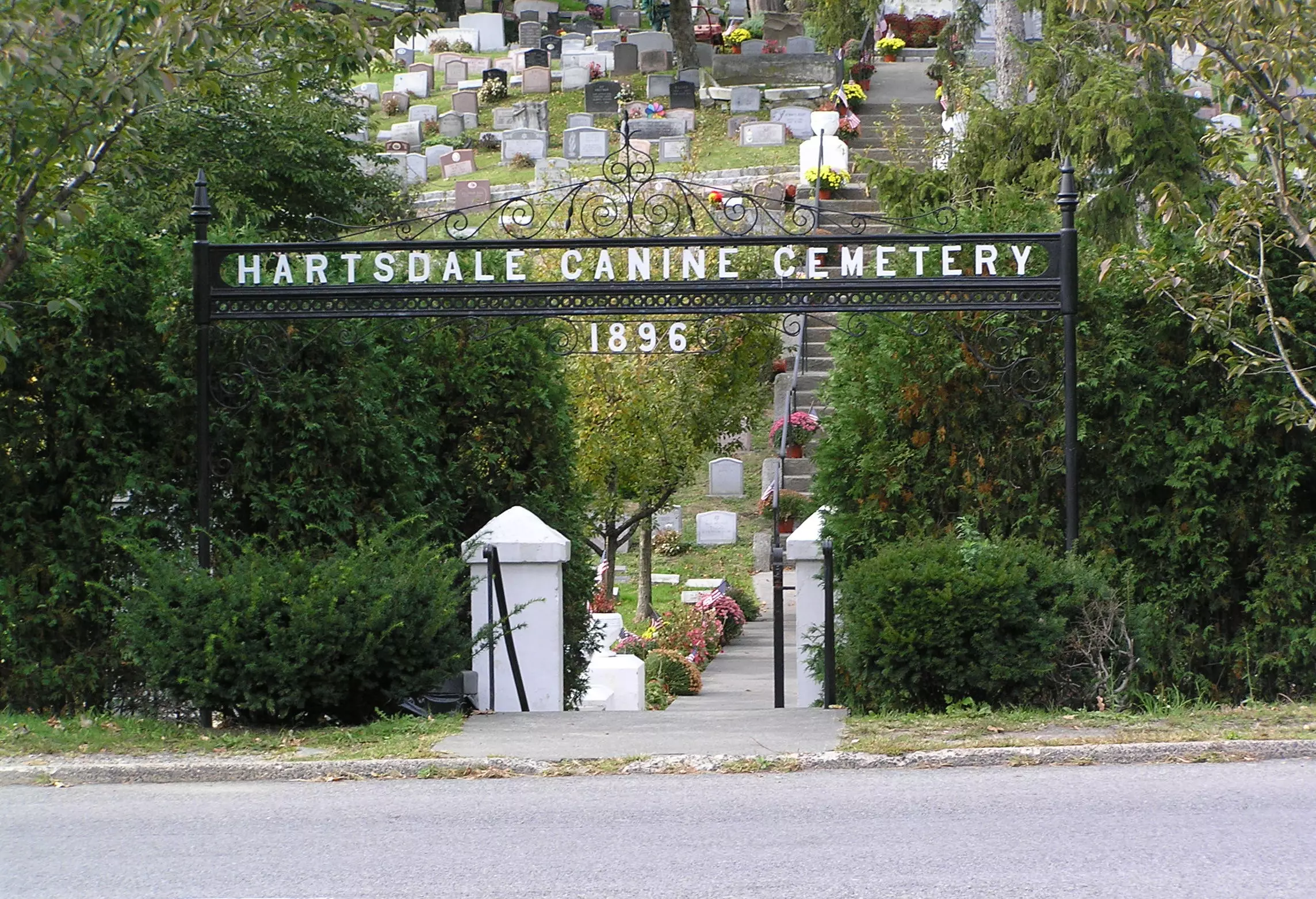 Wussten Sie, dass sich der älteste Tierfriedhof der Welt in Westchester, New York, befindet? 4975_1