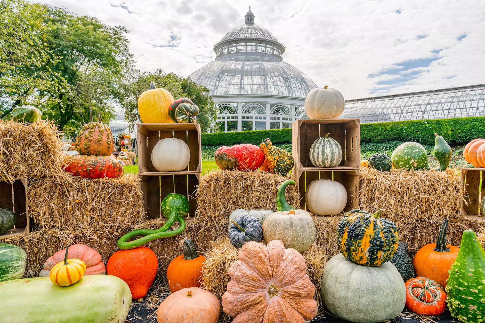 Những cách tốt nhất để kỷ niệm Halloween 2020 ở NYC 5055_2