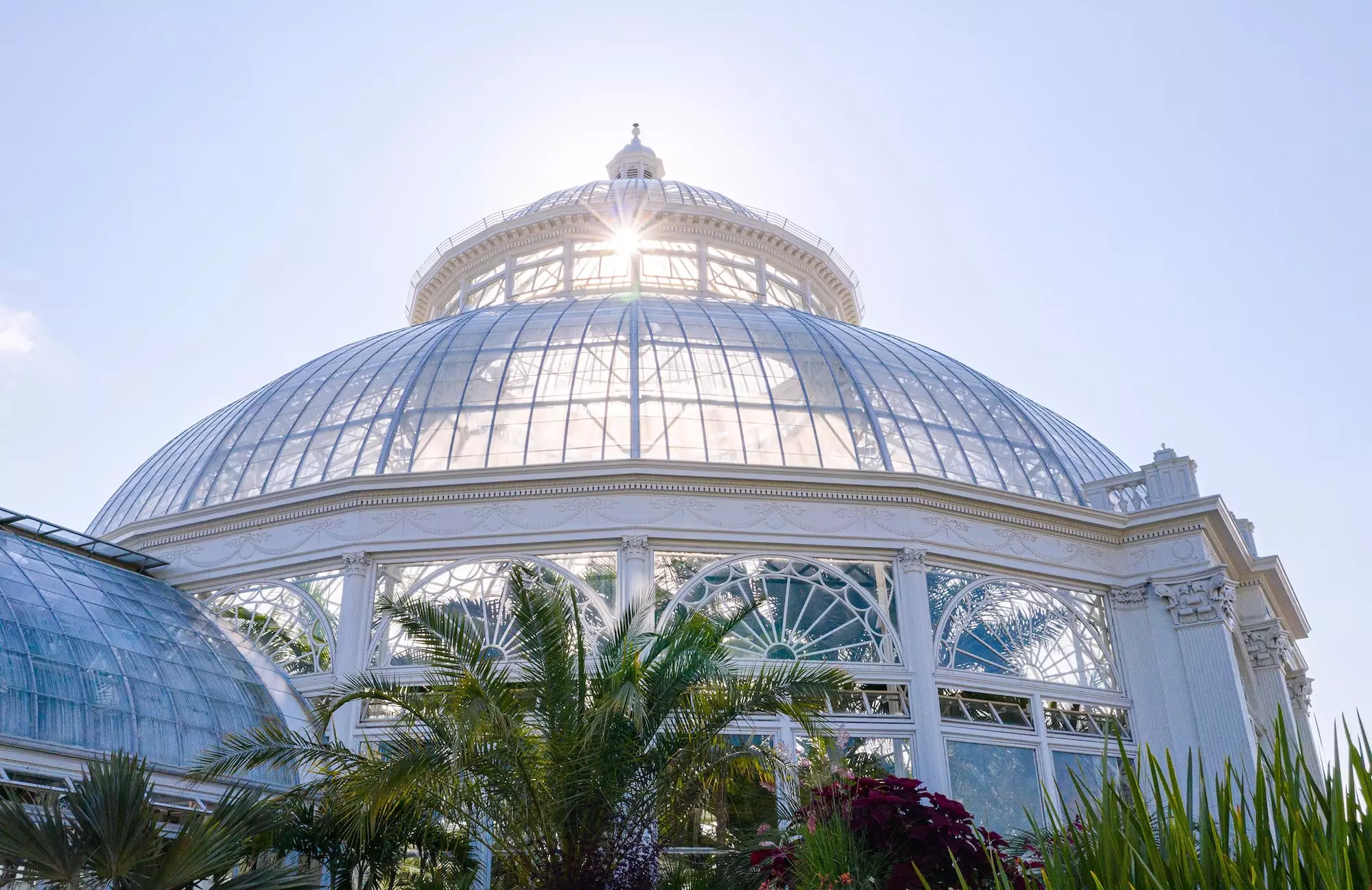 New York Botanik Bahçesi'nin simgeleşmiş cam konservatuarı 18 milyon dolarlık restorasyondan sonra yeniden açıldı 5300_1