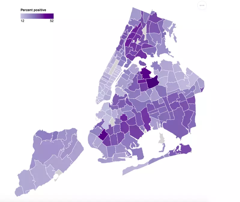 دیکھیں کہ کون سے NYC محلوں میں COVID اینٹی باڈیز کی شرح سب سے زیادہ ہے۔ 5530_1