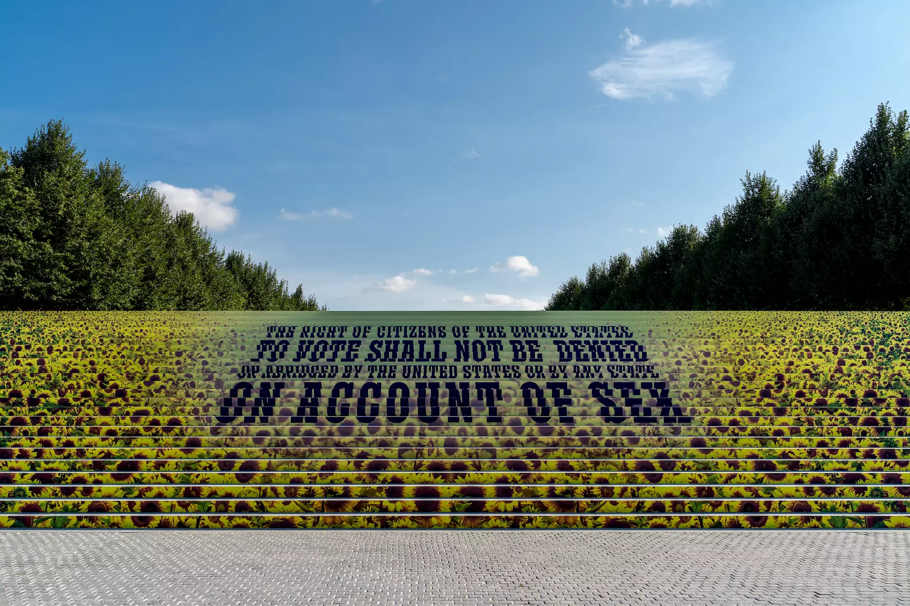 استحوذ معرض Field of sunflowers على Four Freedoms Park لتكريم 100 عام من حق المرأة في التصويت 5802_1