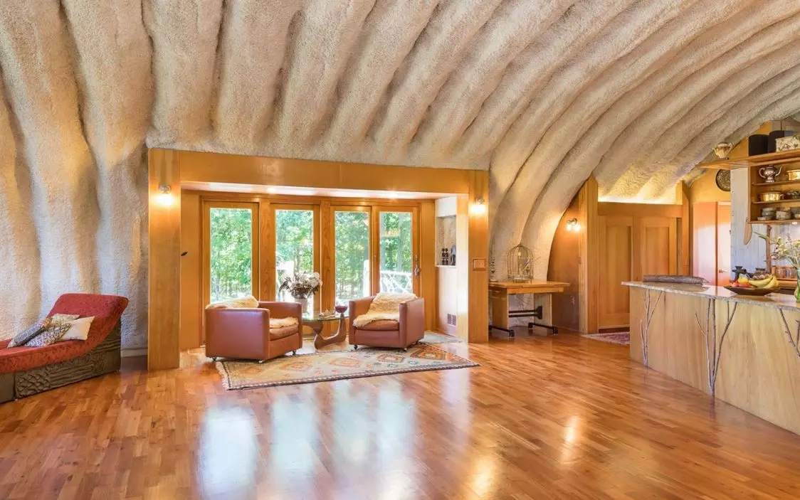 La maison géniale de 1,2 M $ dans le nord de l'État est Jetsons à l'extérieur, Flintstones à l'intérieur 5862_6