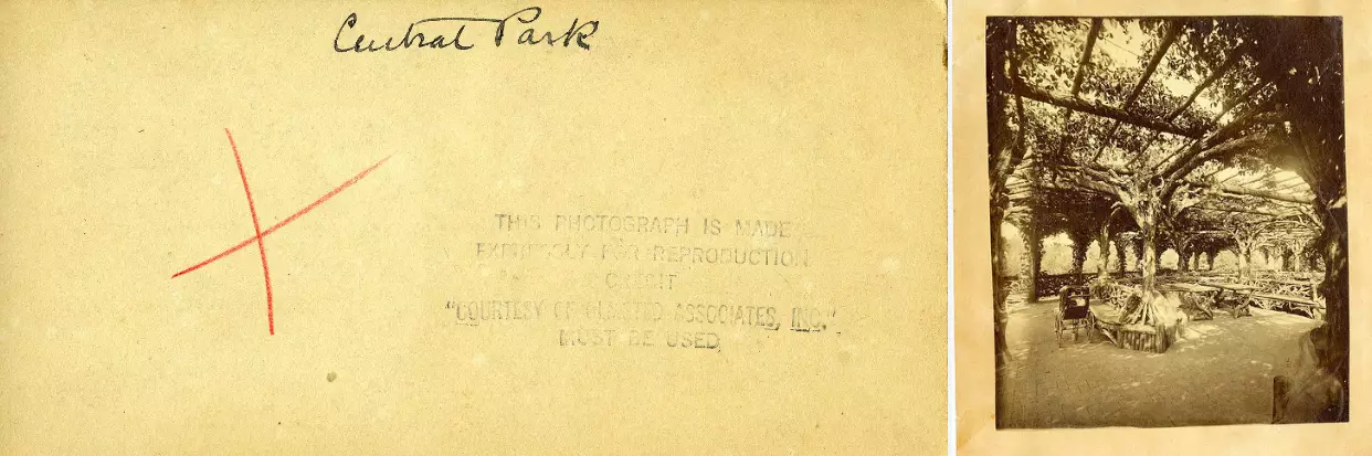 24 000 dokumentų iš Fredericko Law Olmstedo gyvenimo ir kūrybos archyvas dabar pasiekiamas internete 6264_7