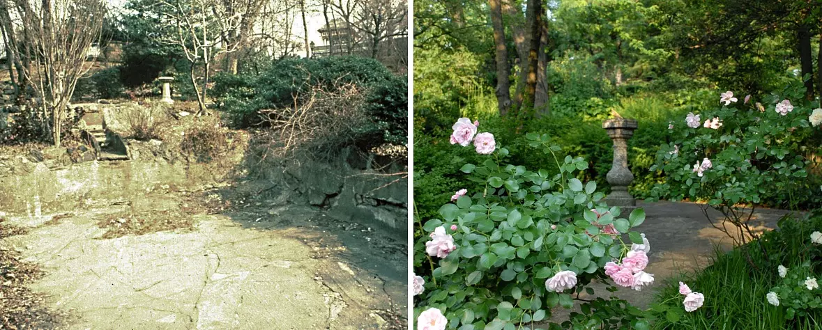 Shakespeare Garden, Central Park