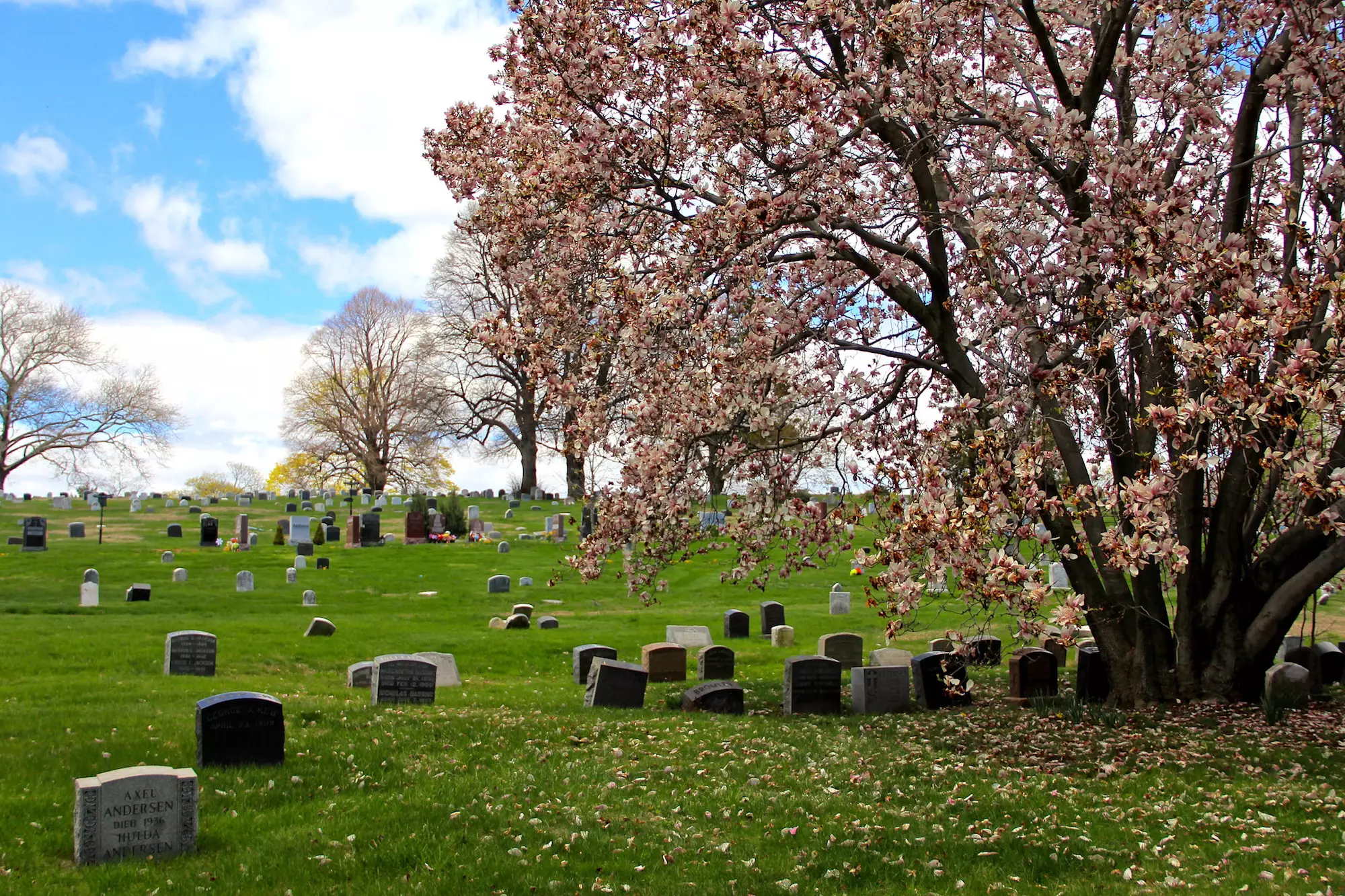 Regelbrytande folkmassor kan tvinga Green-Wood Cemetery att stänga för allmänheten 6452_1