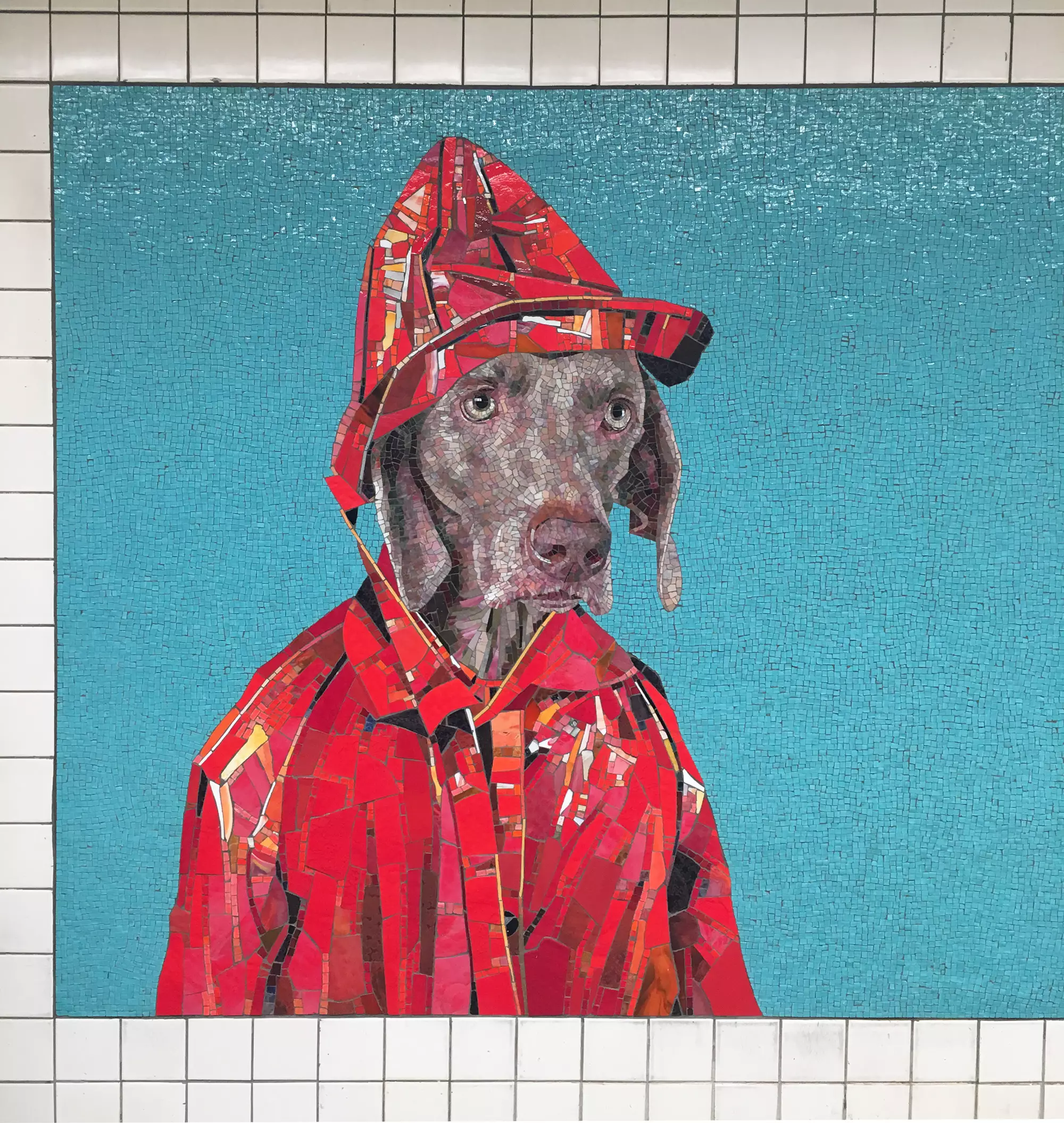Stazione della metropolitana 23rd Street, William Wegman, cani Weimaraner, MTA Arts for Transit, arte della metropolitana di New York, mosaici della metropolitana