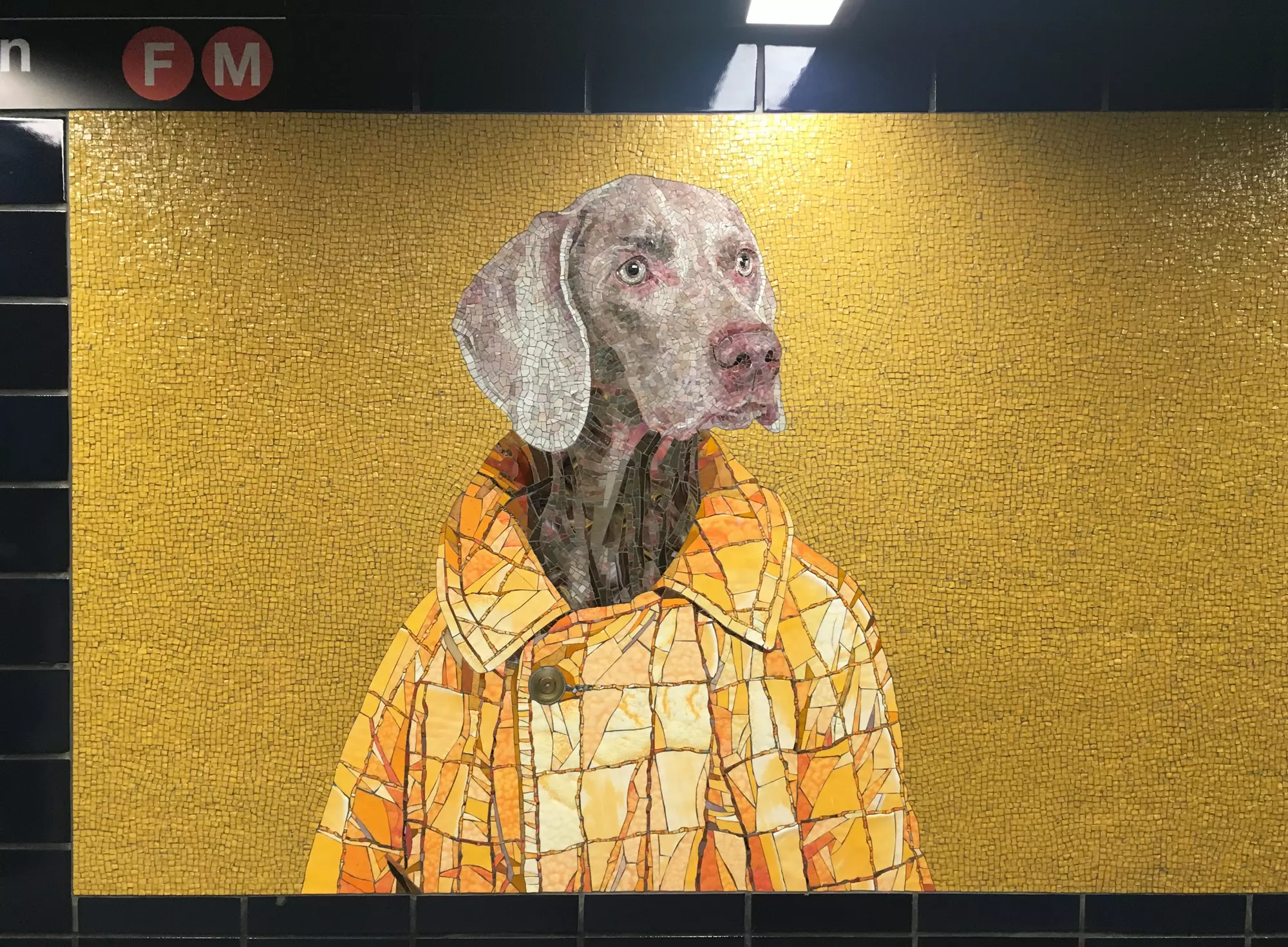 23rd Street metro stansiyası, William Wegman, Weimaraner dogs, MTA Arts for Transit, NYC metro sənəti, metro mozaikaları