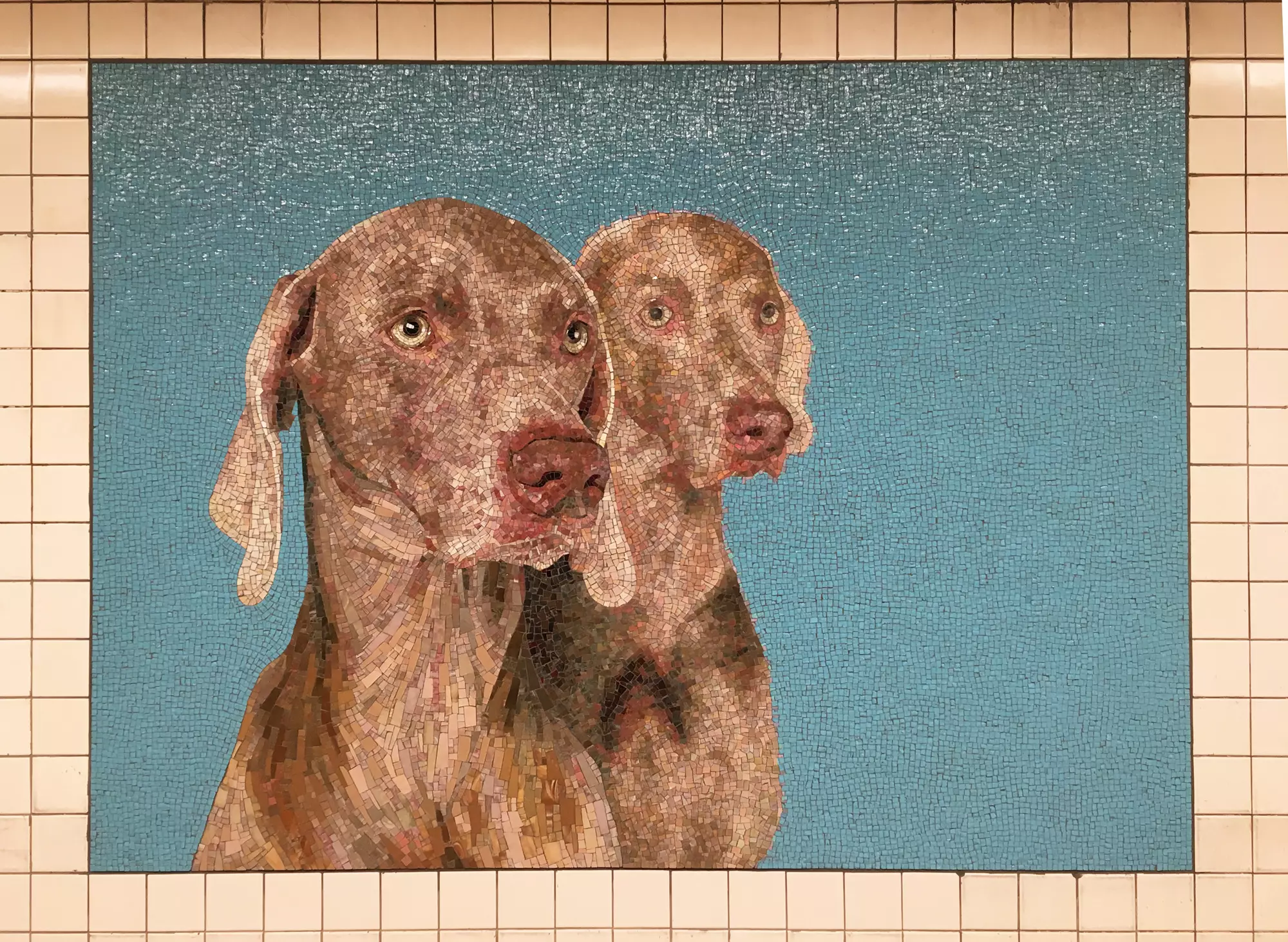 23rd Street subway station, William Wegman, Weimaraner dogs, MTA Arts for Transit, NYC subway art, subway mosaic