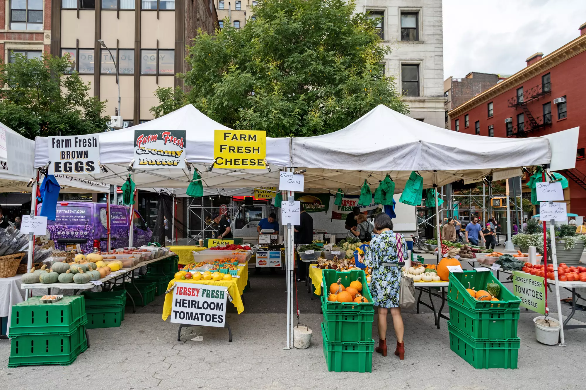 Cómo los mercados verdes al aire libre de Nueva York están lidiando con el brote de coronavirus 6754_1