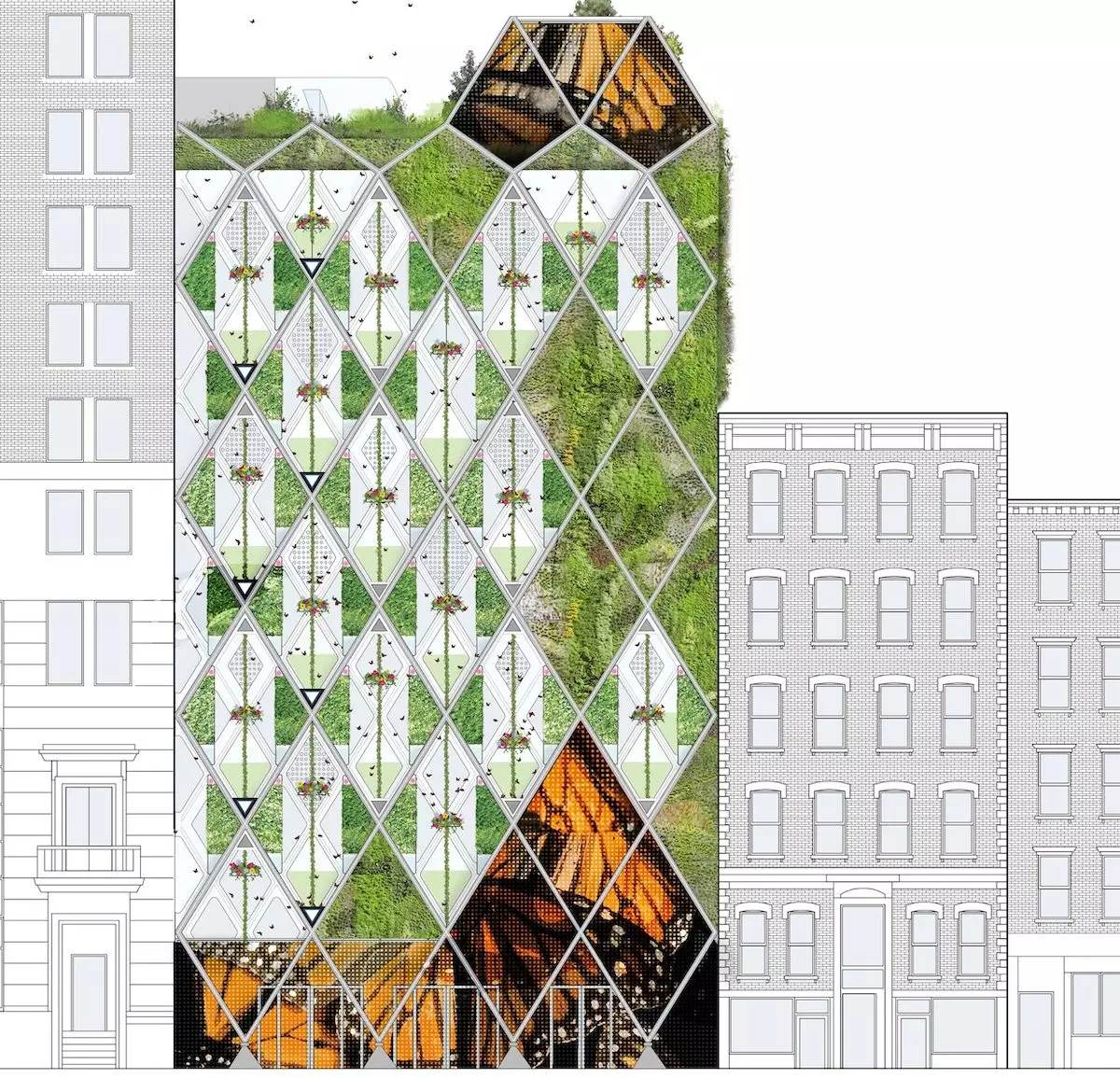 Восьмиповерховий заповідник метеликів монарха може бути фасадом нової будівлі Nolita 7036_1