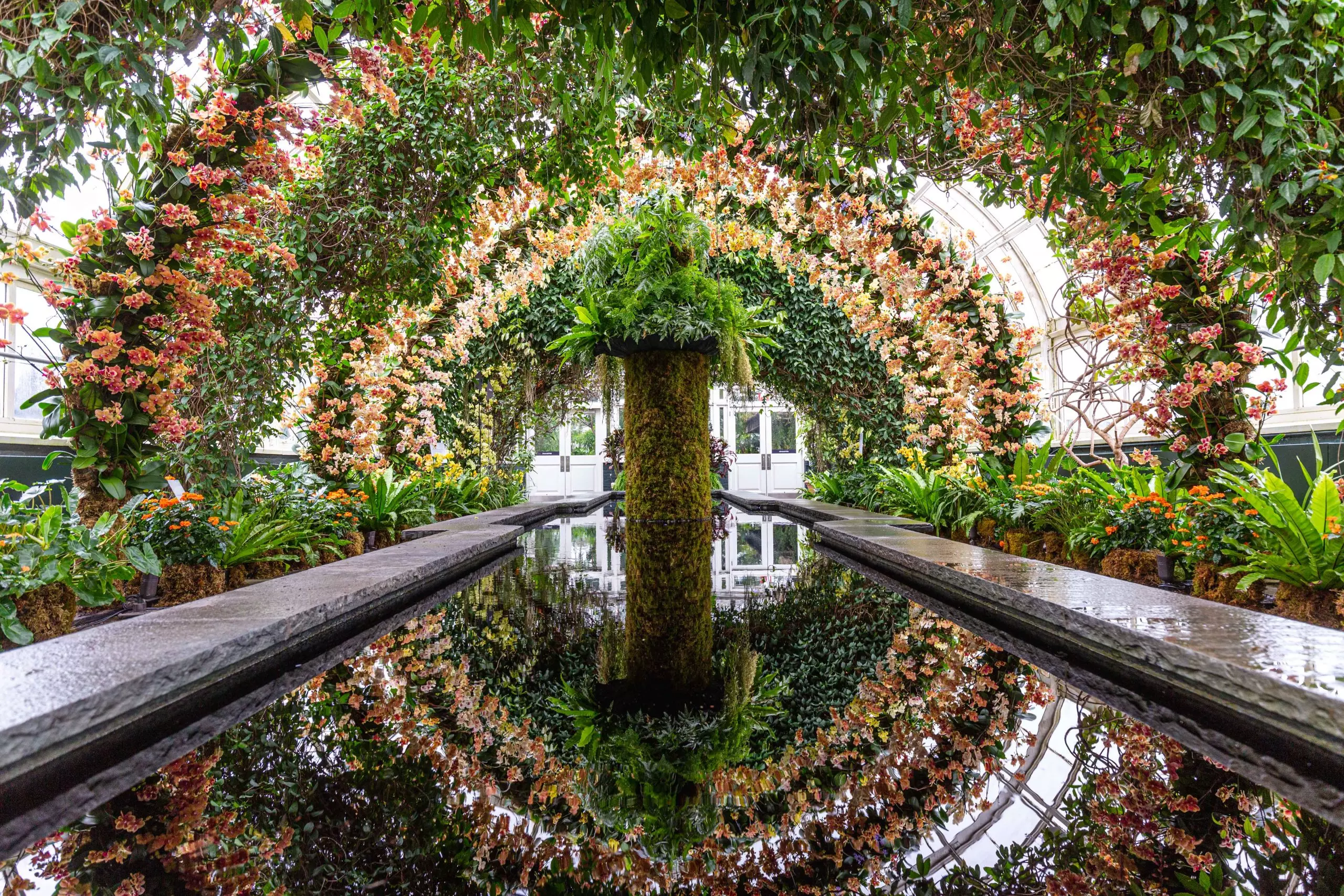 Treten Sie bei der diesjährigen New York Botanical Garden Orchid Show in ein „Kaleidoskop“ der Farben ein 7186_1