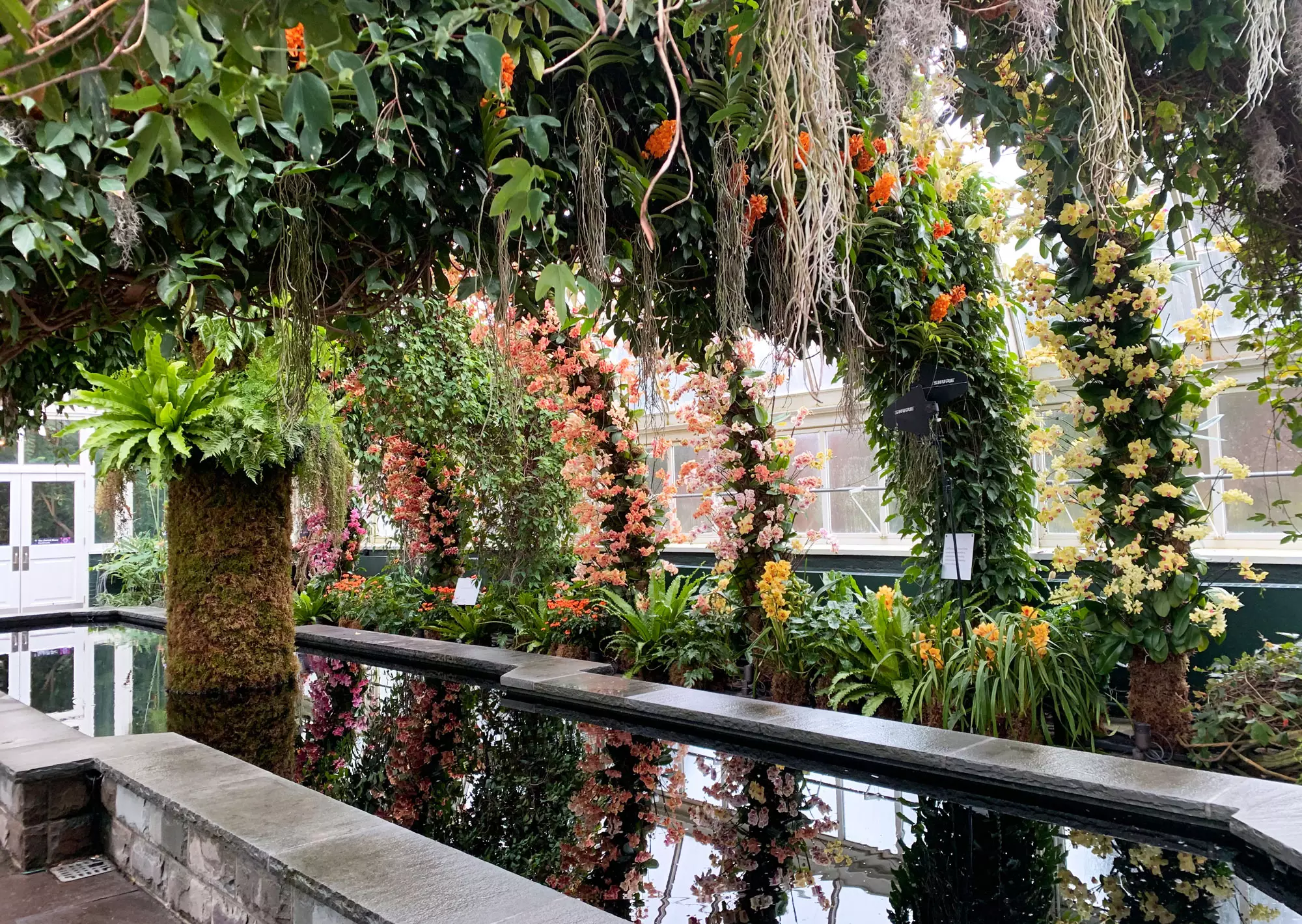 Antre nan yon 'Kaleidoscope' koulè nan New York Botanical Garden Orchid Show ane sa a 7186_16