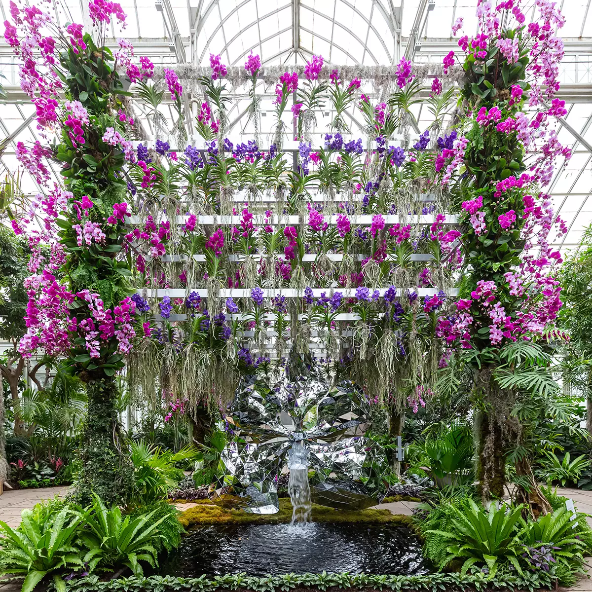 טרעטן אין אַ 'קאַליידאָסקאָפּע' פון קאָלירן אין דעם יאָר ס New York Botanical Garden Orchid Show 7186_4