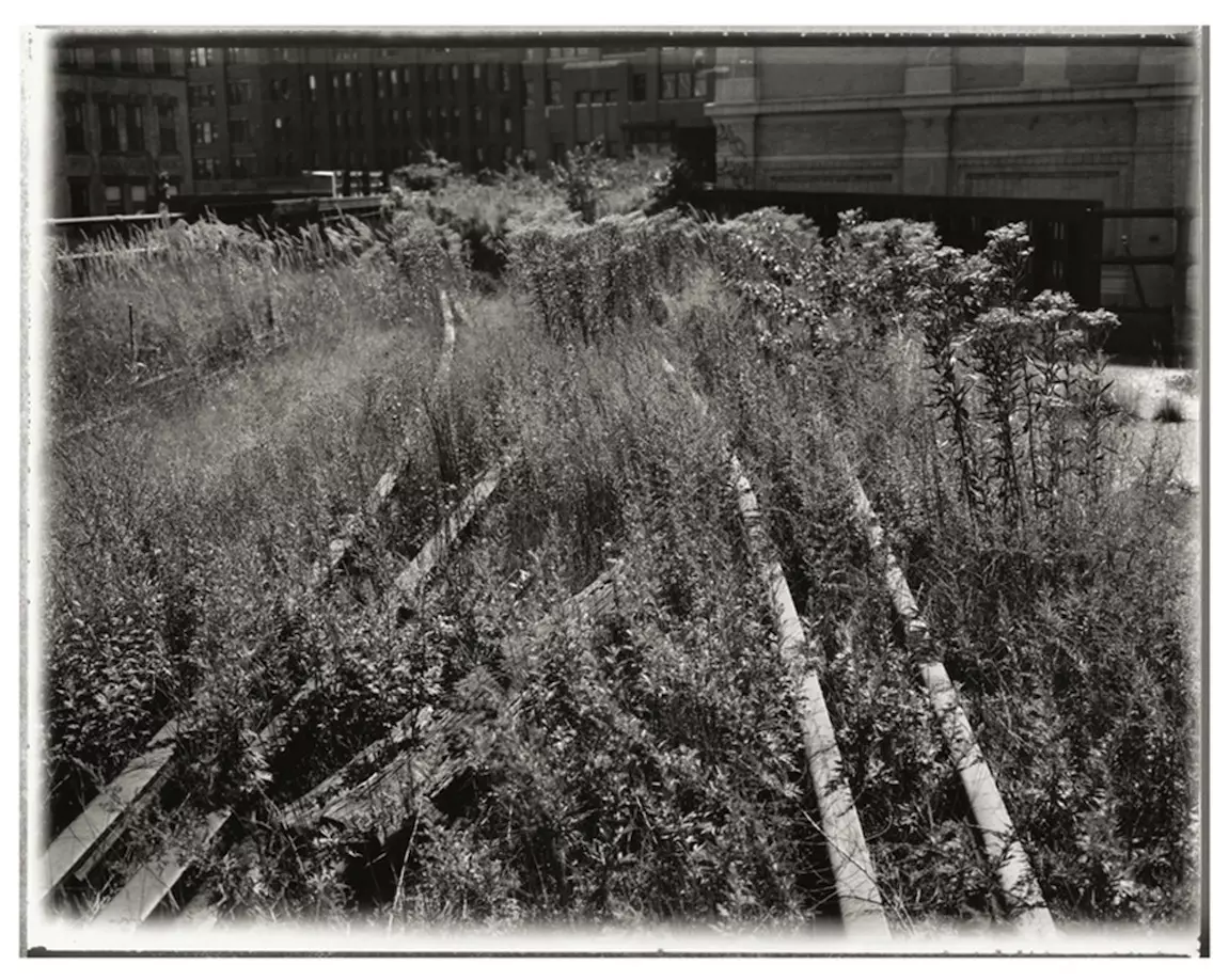 FOTO: Shihni një High Line të braktisur përpara ditëve të tij si park publik 8632_10