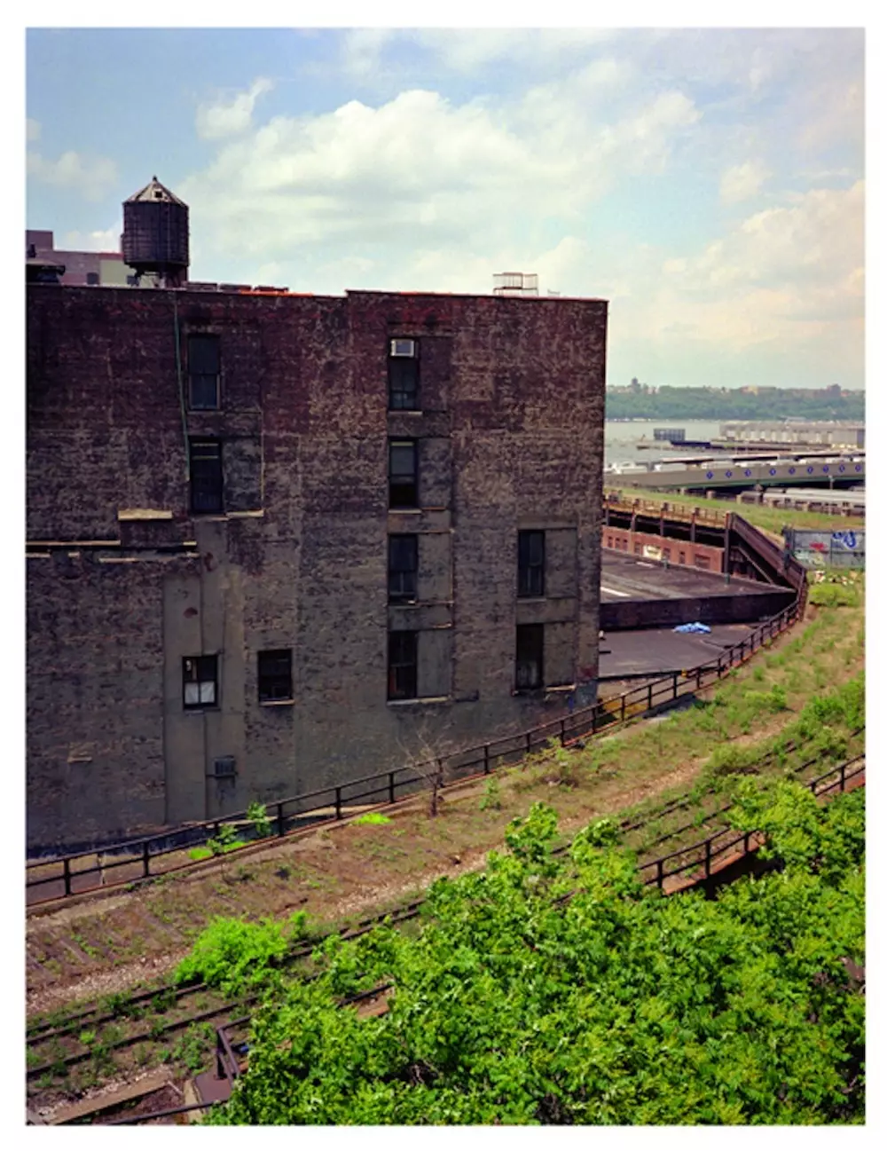FOTOS: Sehen Sie eine verlassene High Line vor ihrer Zeit als öffentlicher Park 8632_2