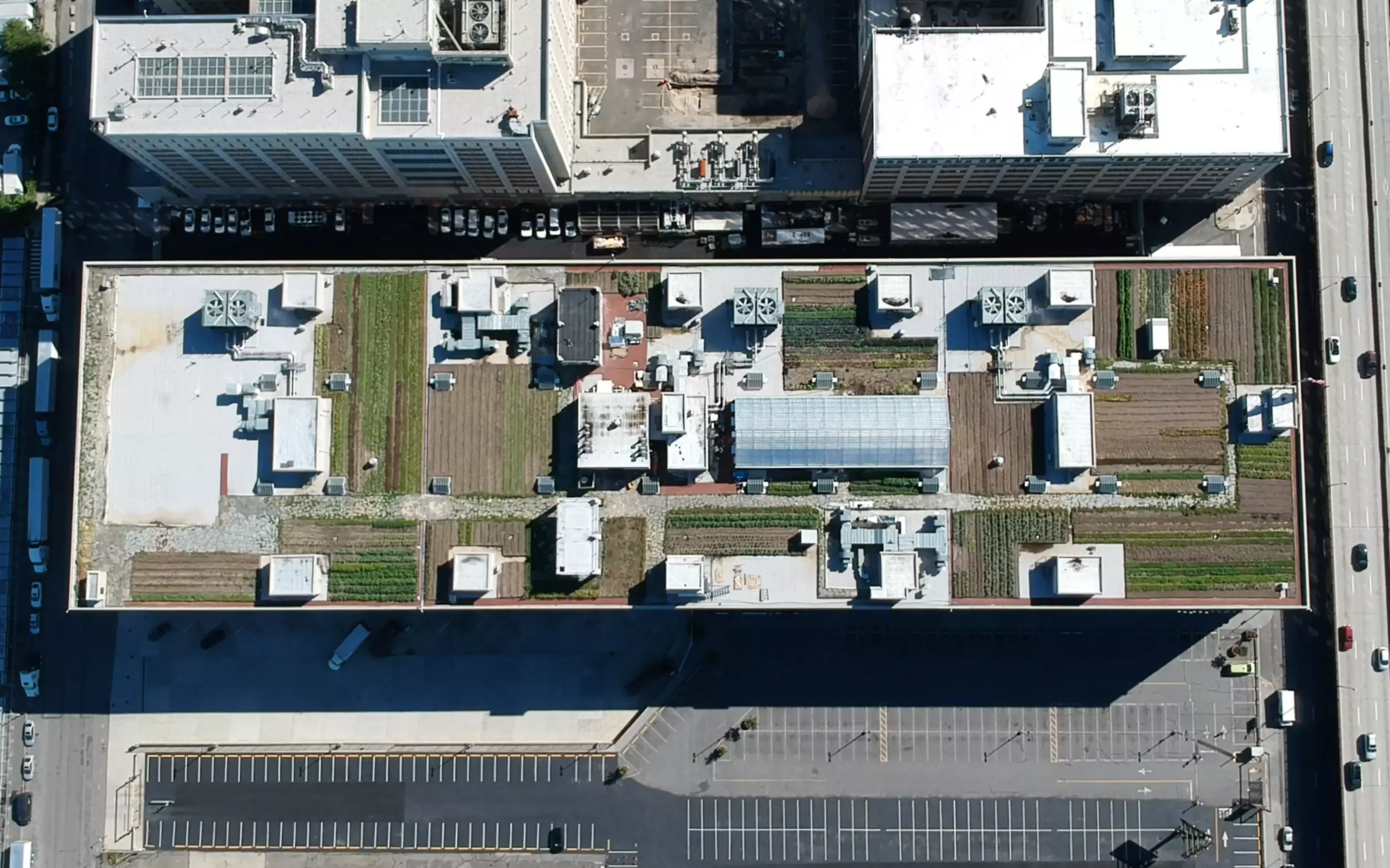 Brooklyn Grange membuka pertanian atap terbesar NYC di Sunset Park 8764_3