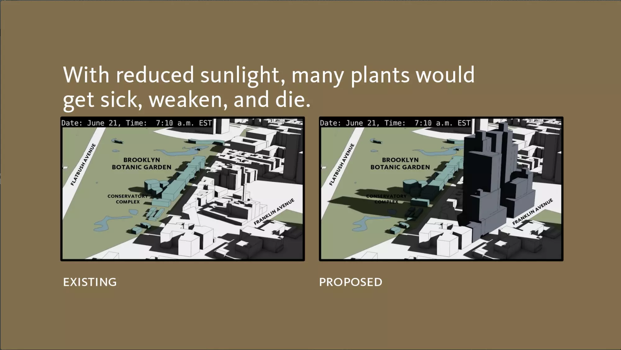 Le jardin botanique de Brooklyn intensifie la lutte contre les projets de tours de Crown Heights avec une nouvelle exposition 8956_5