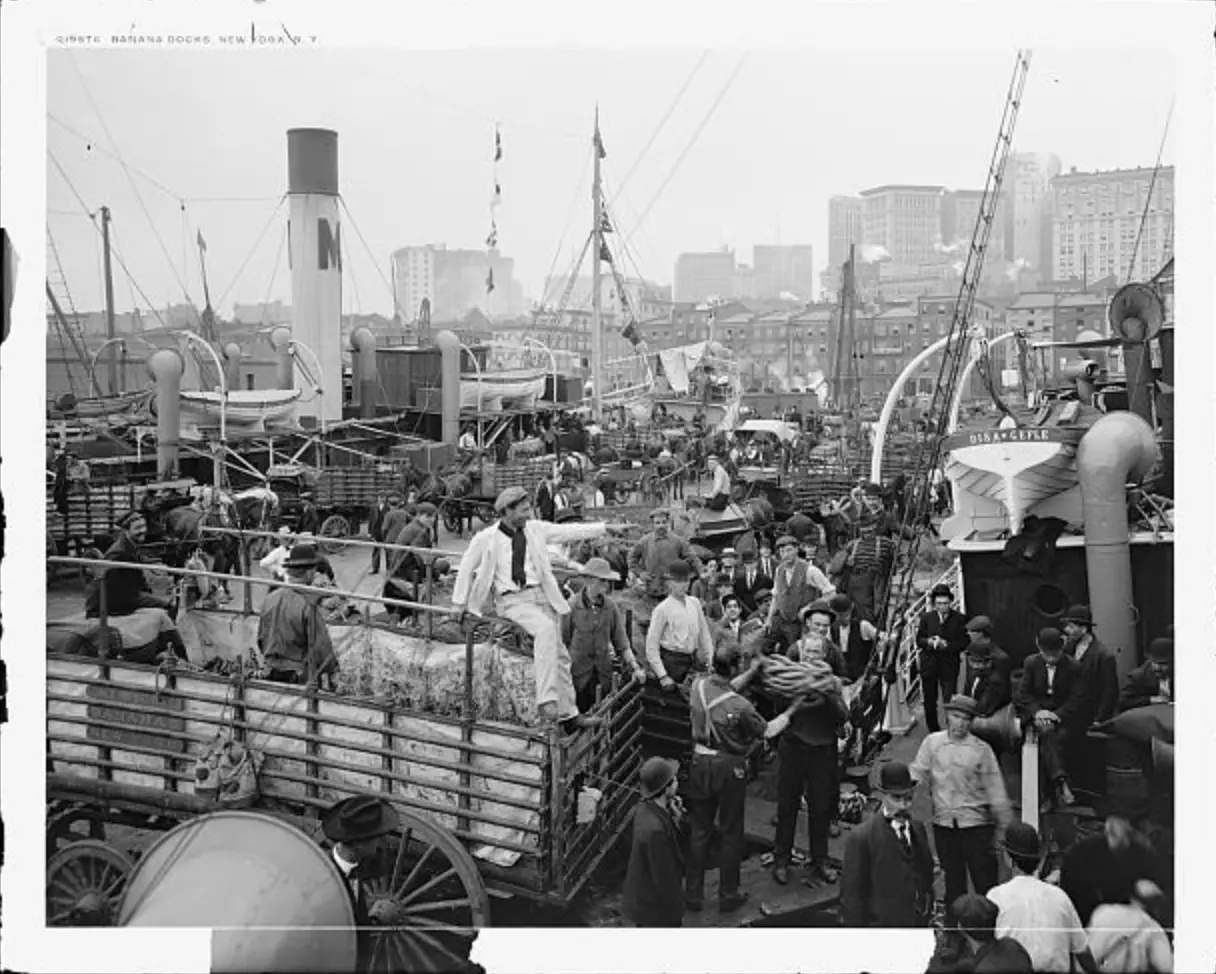 „Lúpanie“ histórie banánových dokov v New Yorku 9385_1