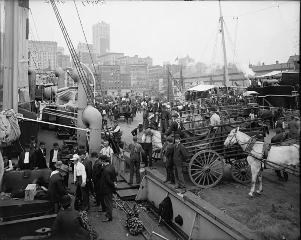 „Lúpanie“ histórie banánových dokov v New Yorku 9385_2