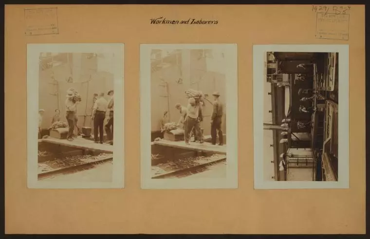 „Обелване“ на историята на банановите докове в Ню Йорк 9385_6